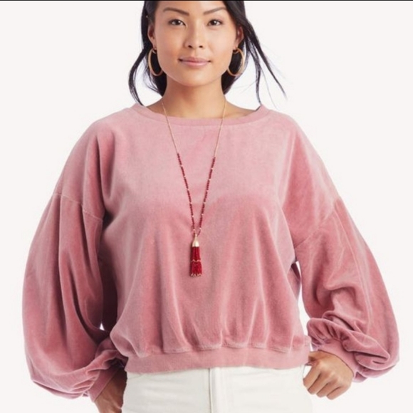 1. State | Tops | State Berry Color Velour Top | Poshmark